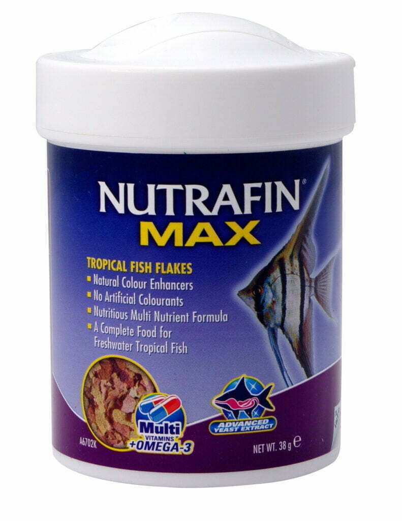 מזון בסיסי לדגי נוי Nutrafin